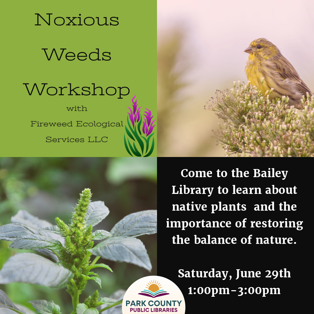 Bailey Library Calendar | Welcome To Park County Public Libraries